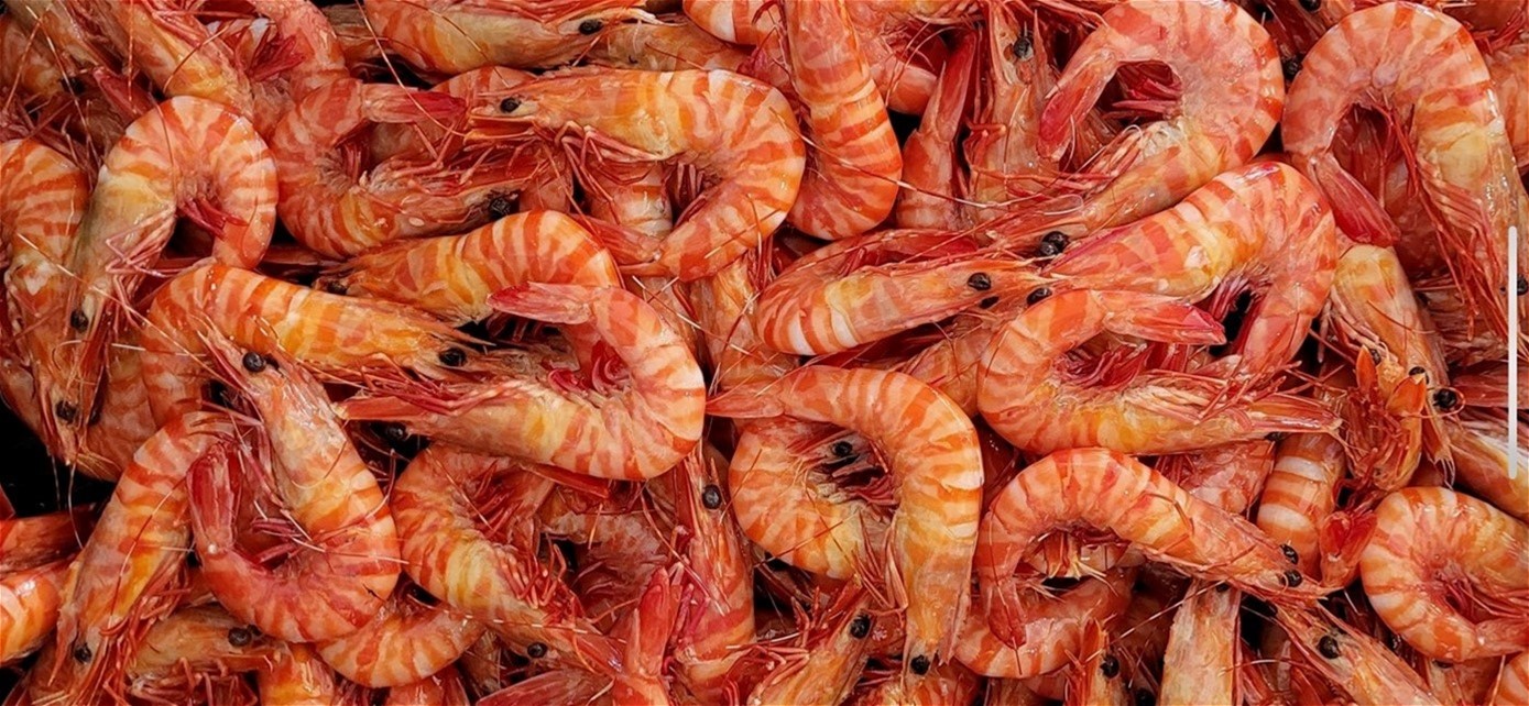 Home - Business Brokers - Benchmark Business Sales & Valuations